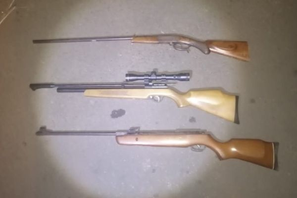 Plessislaer operation recovers 6 firearms - South Africa Today