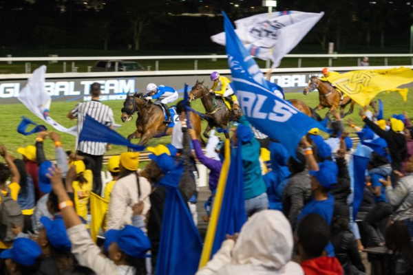 Locals flock to watch live jockey teams in first GTH series at ...