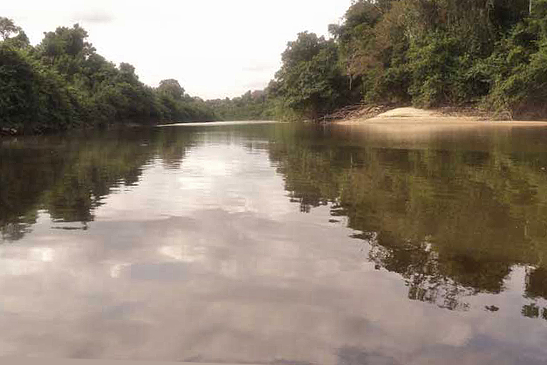 Venezuelan Amazon deforestation expands due to lawlessness, mining ...