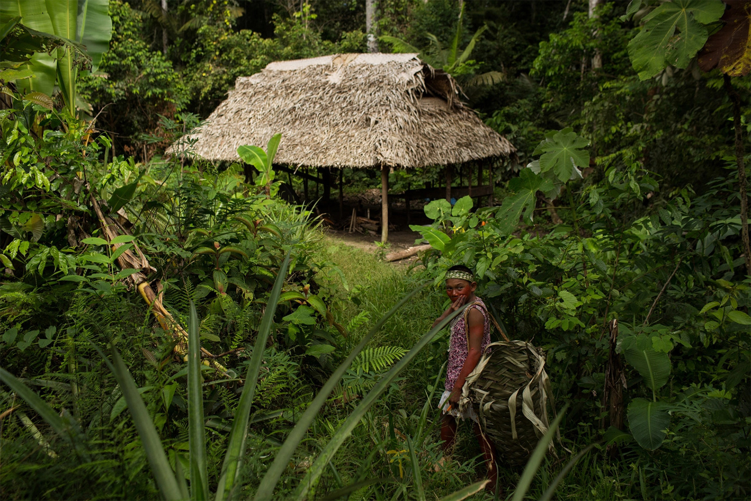 Where do we need to protect biodiversity? - South Africa Today