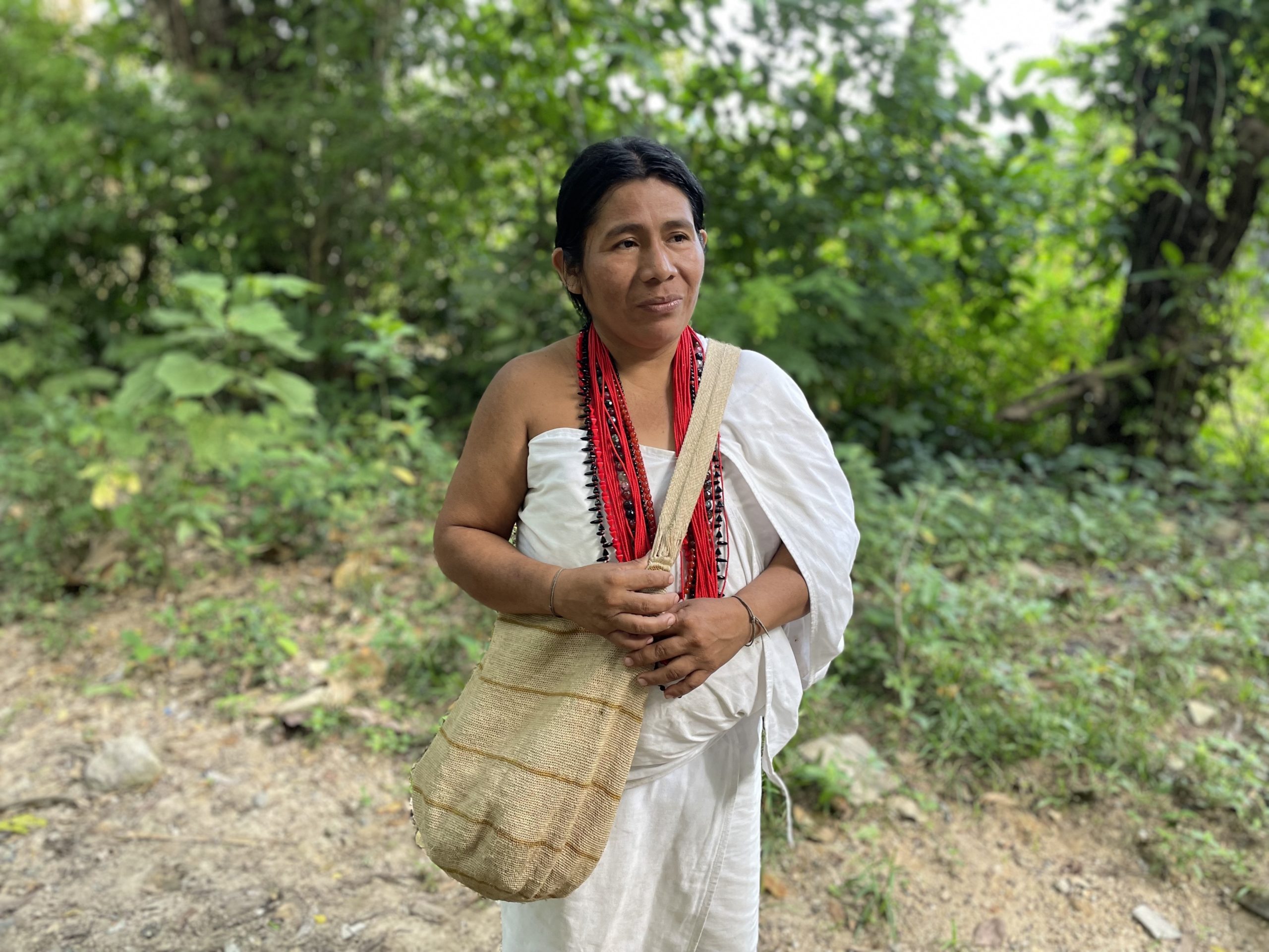 Indigenous Kogi worldview aims to change face of conservation for good ...