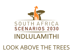 Indlulamithi to launch newly updated South Africa Scenarios for 2035 ...