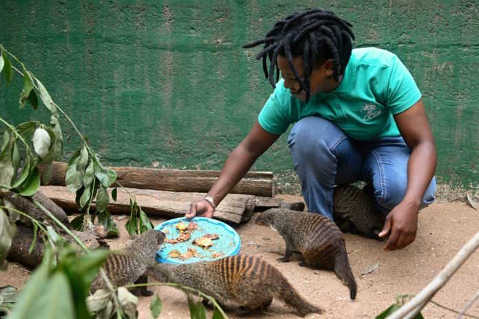 Centre for Rehabilitation of Wildlife (CROW) Appeals for Support ...