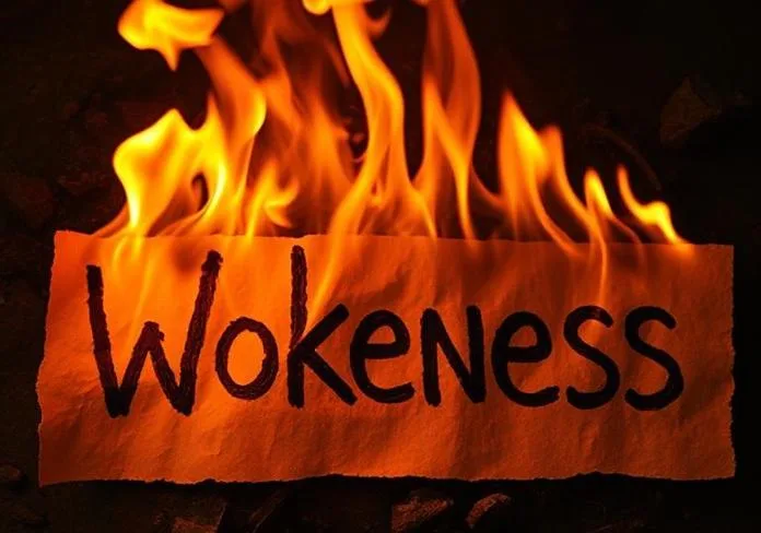 Chaos in Los Angeles: Woke Ideology and Gavin Newsom’s Failures on Full ...