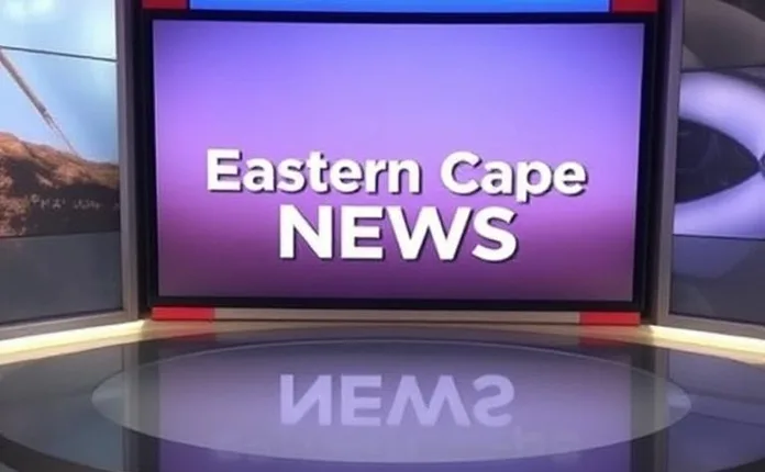 Eastern Cape Teachers Demand Police Protection After Gang Extortion ...