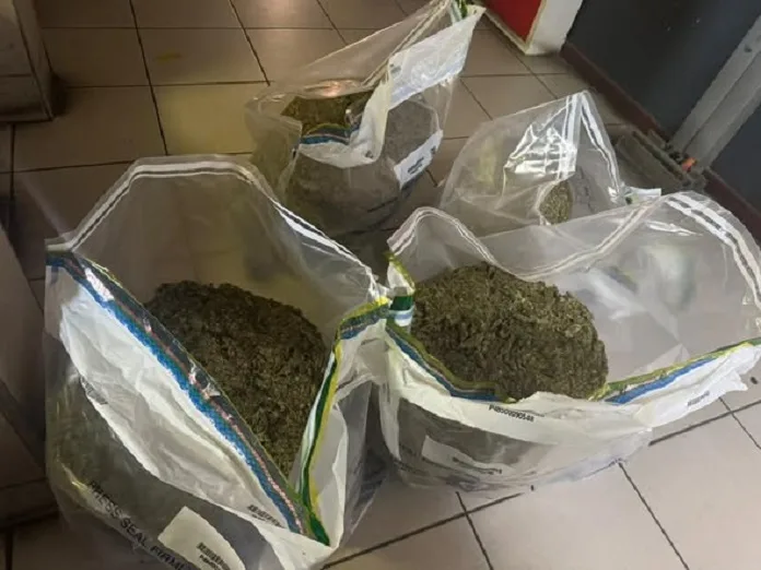 Benoni Police Nab Suspect with R80,000 Dagga Haul, Foil Bribery Attempt ...