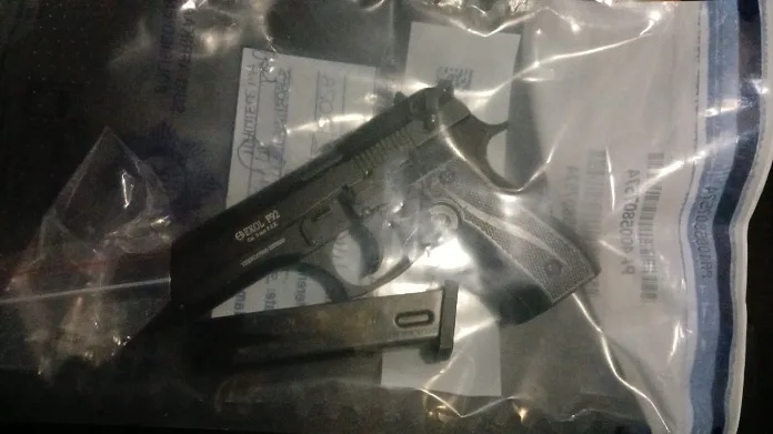 SAPS Intercepts Follow-Home Robbery Gang - South Africa Today